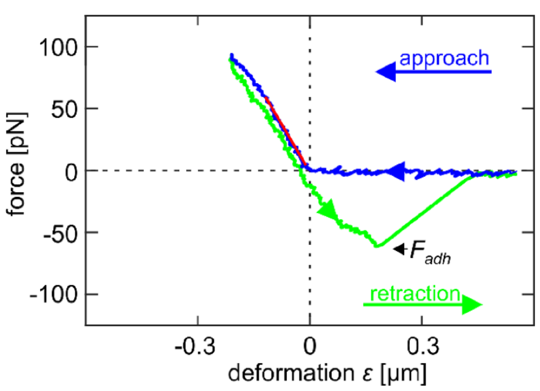 Cell Mechanics - Aresis